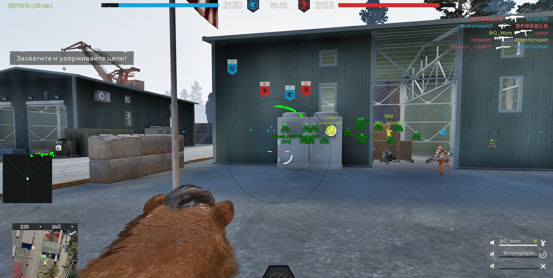 Cheat for wild assault game, features: aimbot, wallhack, radar, panic ...