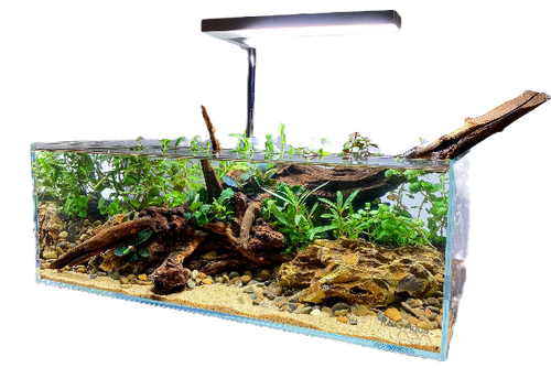 Shallow Tank - Dymax | R&G Aqua