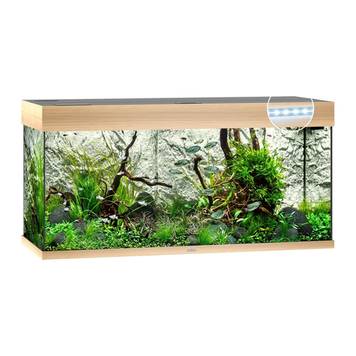 Juwel Rio 180 Led -Light Wood | R&G Aqua
