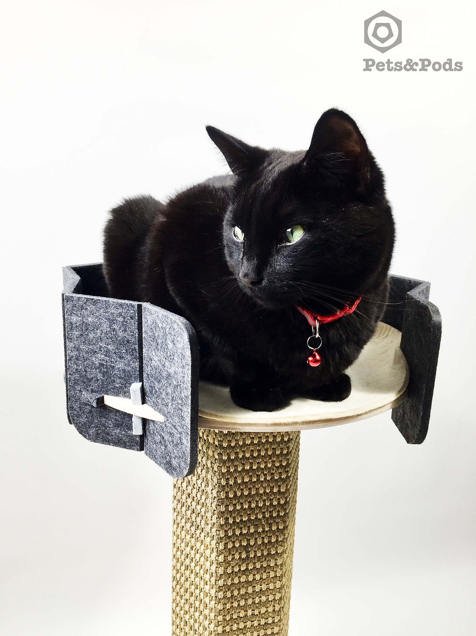 Pets and Pods Studio : Modern Furniture for Pets UK | United Kingdom