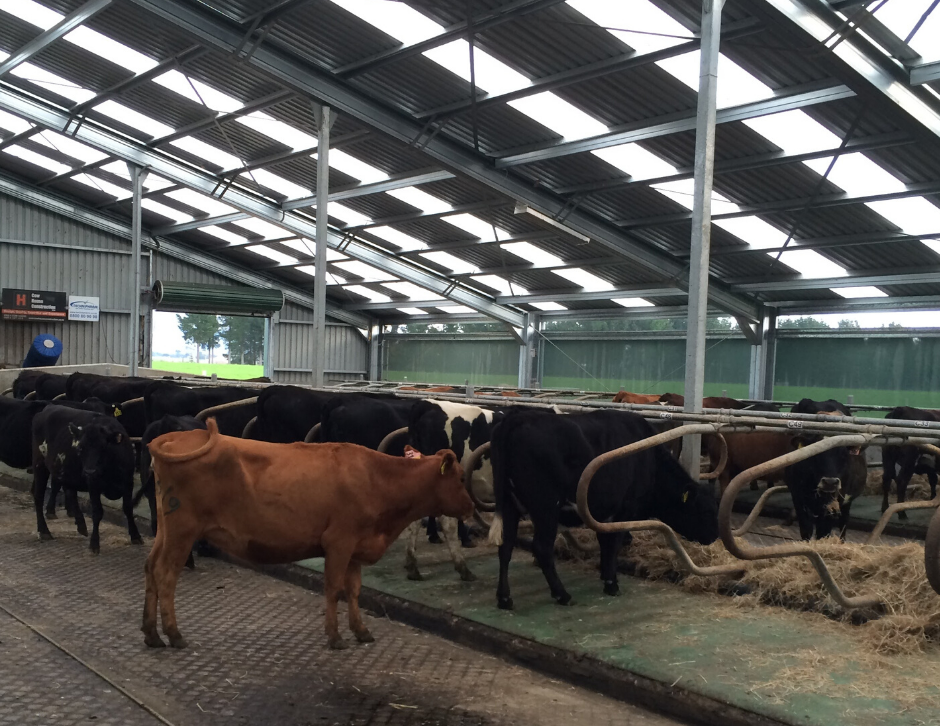 Duration controlled grazing as a management strategy | The AgriSciencer