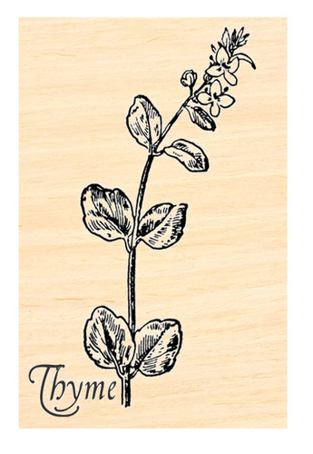 P55 Thyme Herb Rubber Stamp | My Site 8