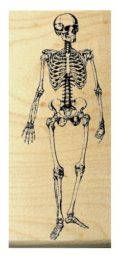 P10 Skeleton Rubber Stamp | My Site 8
