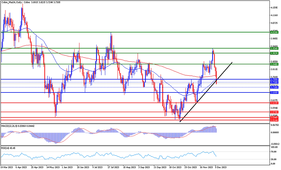 📓 Special Report Capitaria: Tendencias de Mercado y Proyecciones 2024 🌎