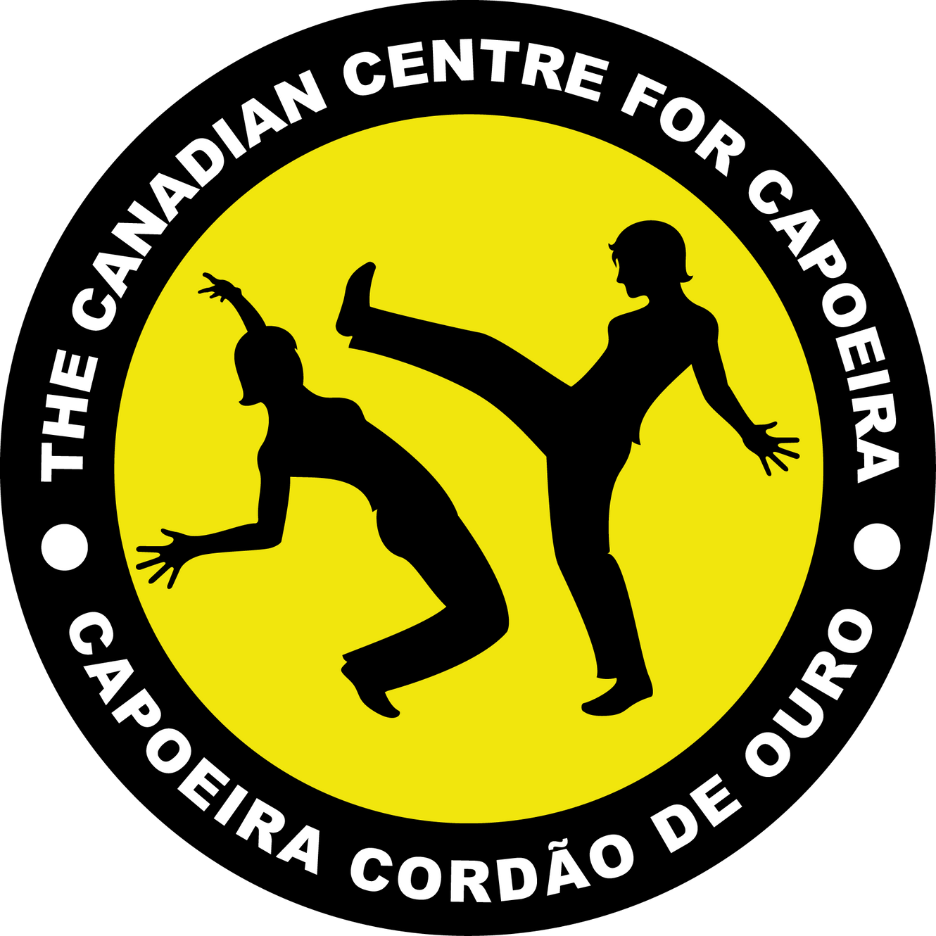 BELT SYSTEM | CAPOEIRA TORONTO