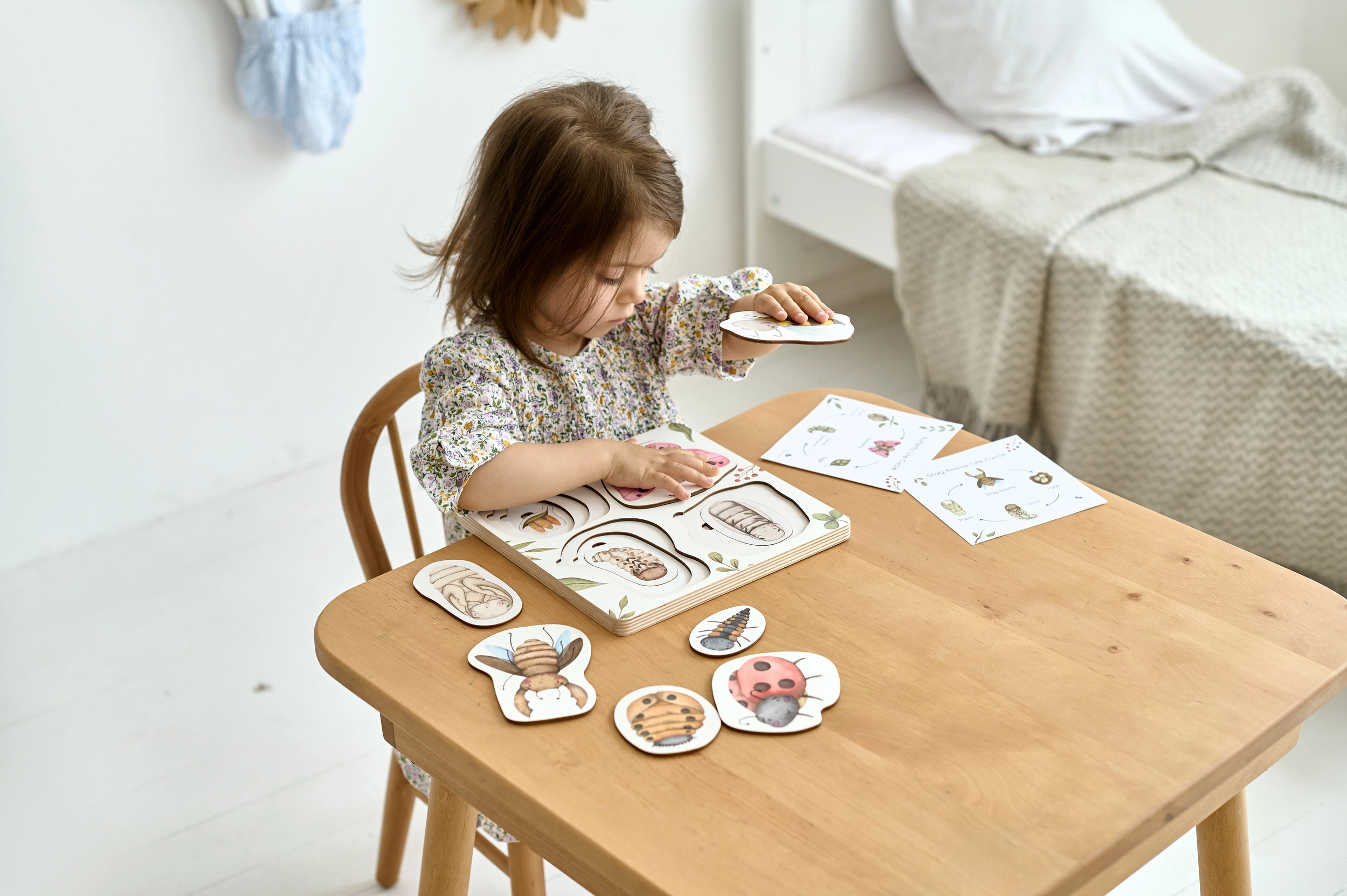 Insects' Life Cycle Wooden Puzzle Montessori Educational Toy ...