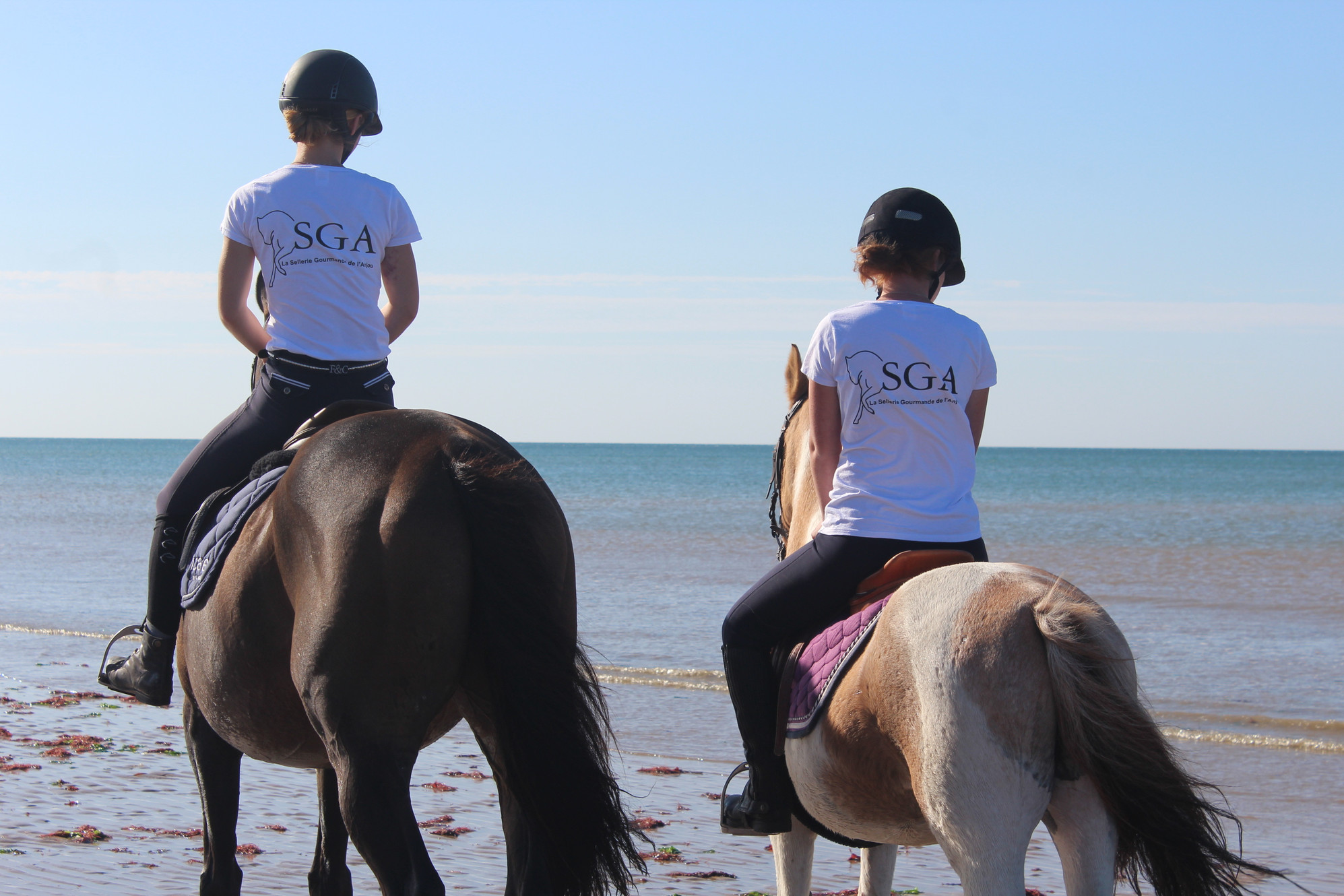 Sellerie itinérante et en ligne | La Sellerie Gourmande | France