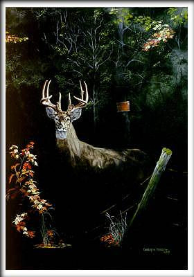 Shadowland - Whitetail Deer Print - by Charles Denault | My Site
