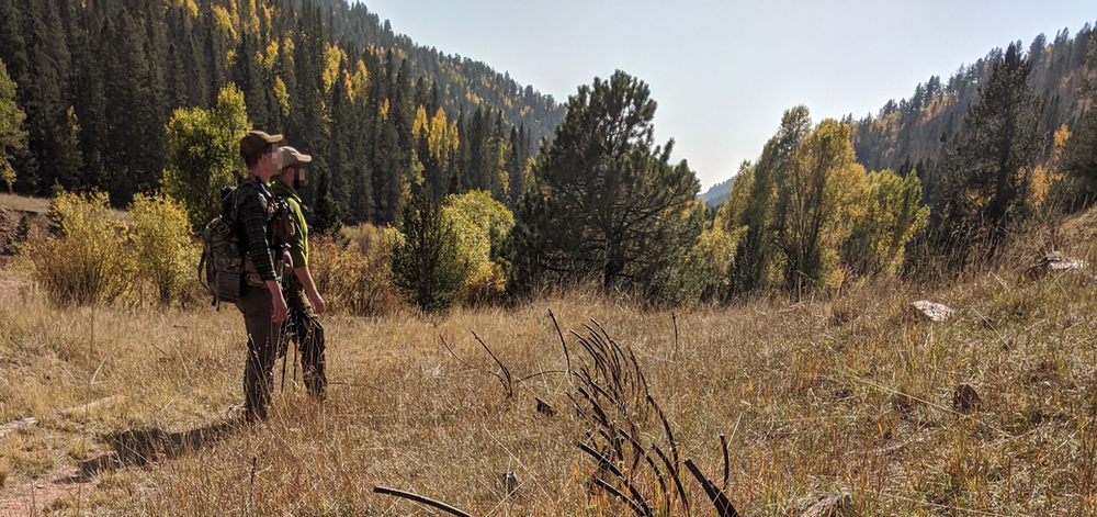 The Lightfighter Rig: Explained