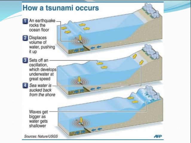 What Causes Tsunamis?