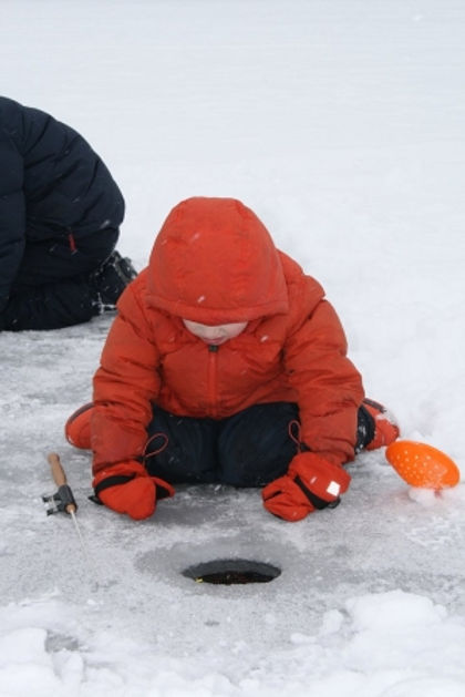 How do fish survive winter?