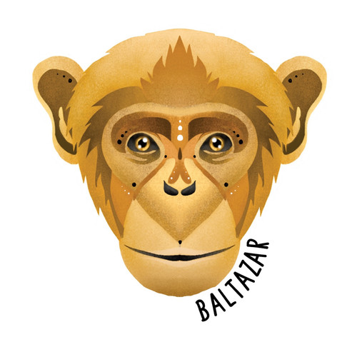 Małpa Baltazar | Artea Sun