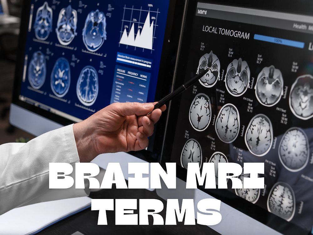 How to Understand Your Brain MRI Terms| Millenium MRI