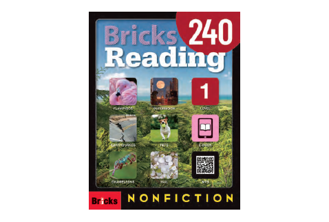 Bricks Reading 240 Nonfiction