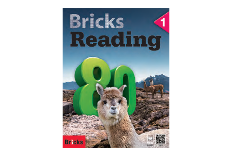 Bricks Reading 80
