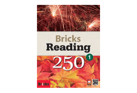 Bricks Reading 250