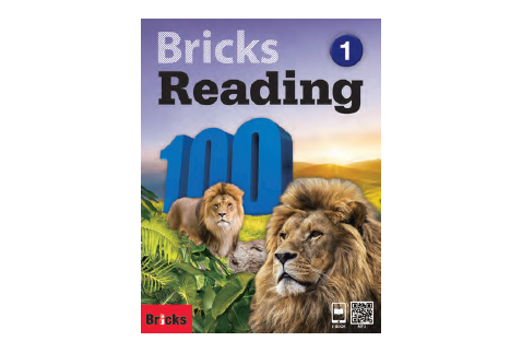 Bricks Reading 100
