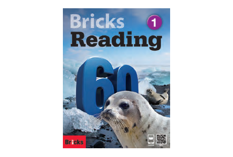 Bricks Reading 60