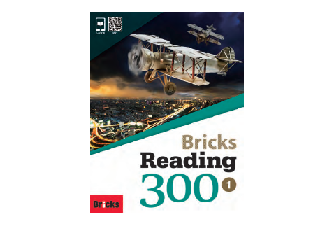 Bricks Reading 300