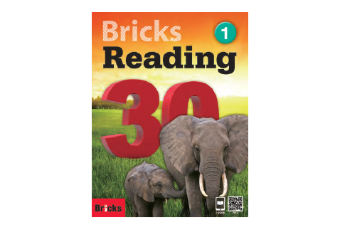 Bricks Reading 30