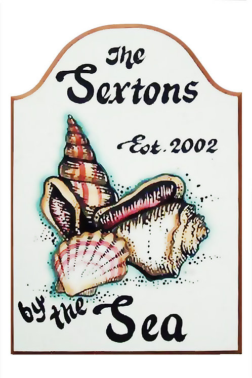 SEA SHELLS | craftvillage