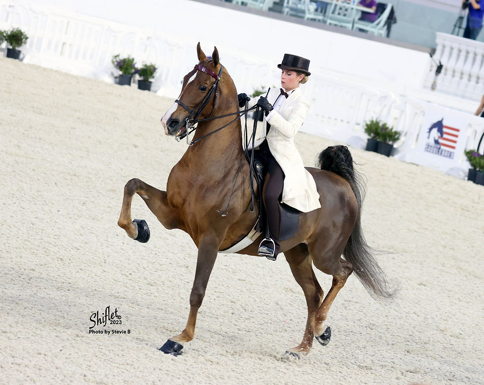 Miron Equine Center | Simpsonville, KY