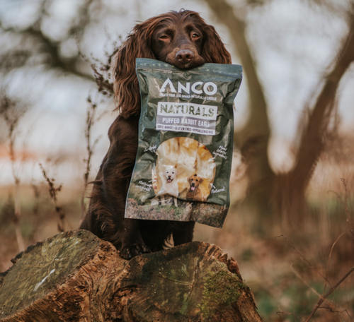 Puffed Rabbit Ears 100g by Anco Naturals | NorthWales Raw Feeds