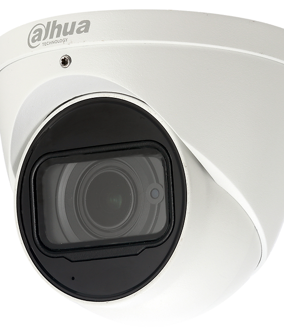 Alarm Systems | MAD Dog Security LLC | United States