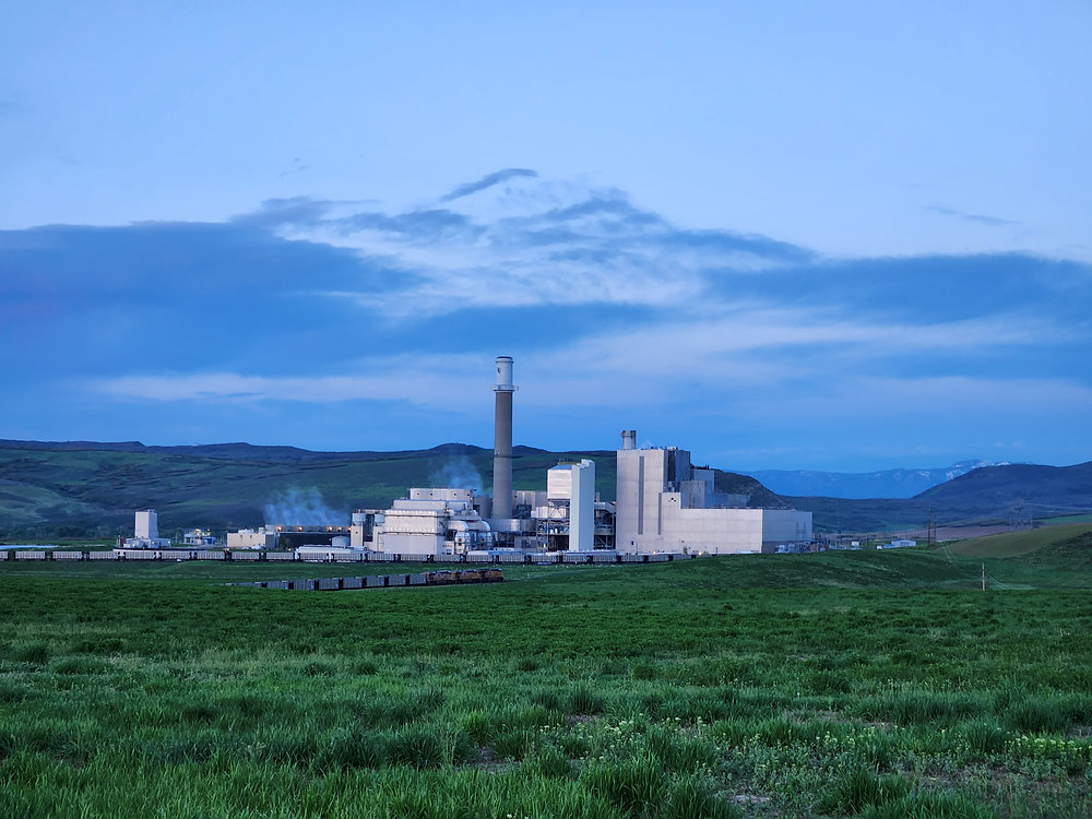 Xcel Energy announces plans for 19-megawatt biomass power plant to ...