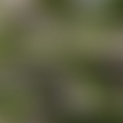 Narrative | the-intermediator