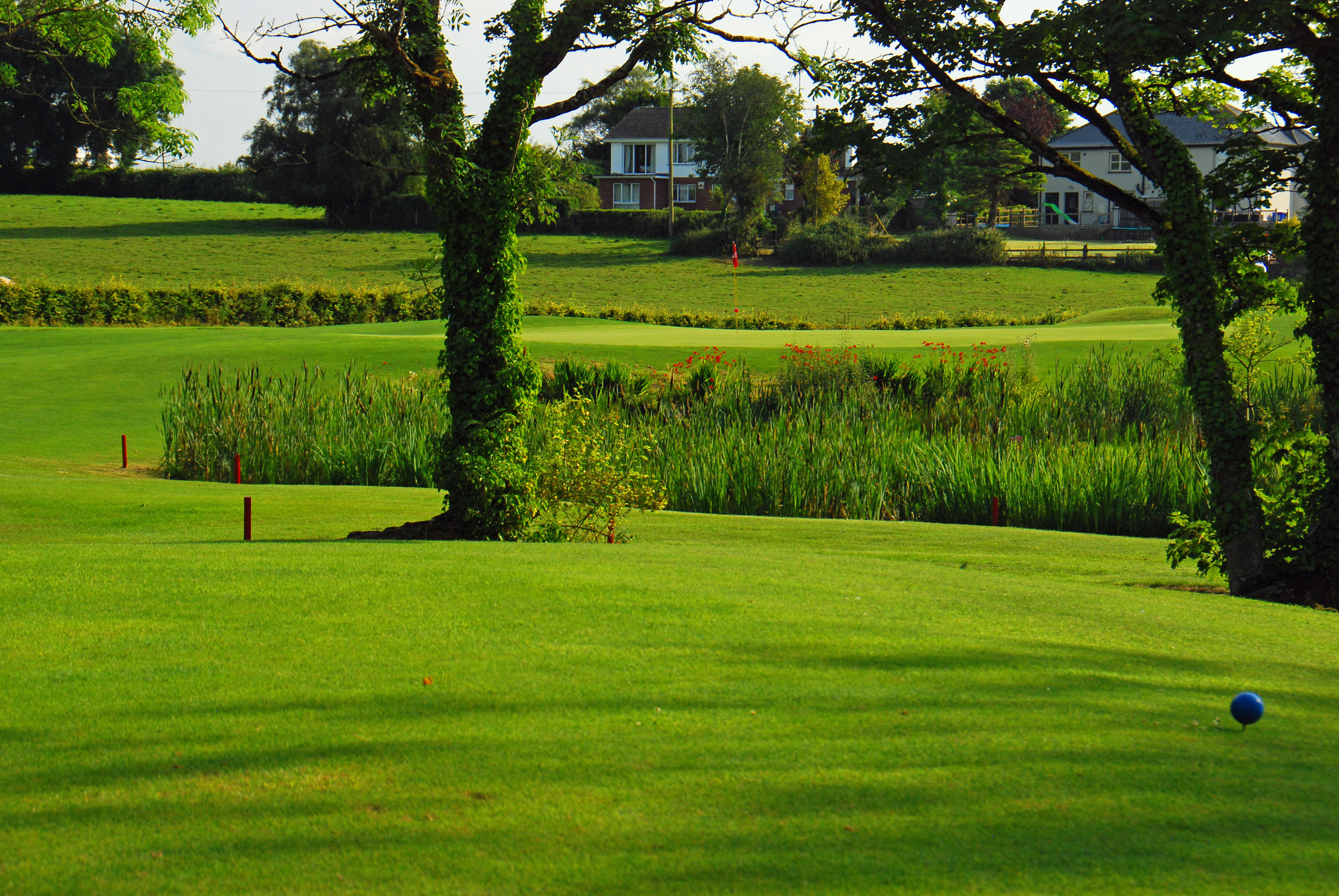 County Longford Golf Club | "Great Golf at attractive prices"