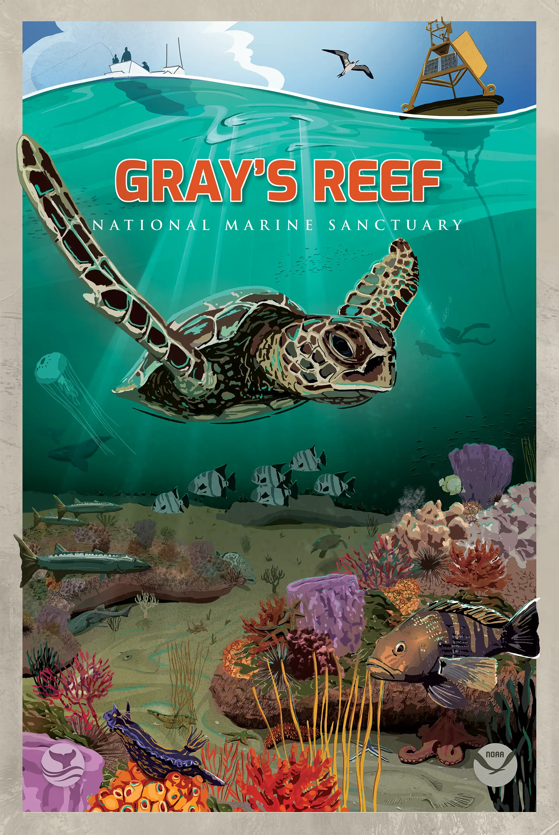 Gray's Reef Sanctuary AR Poster | Oceanic Immersions