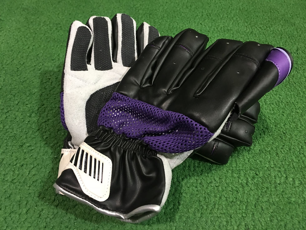 Cricket Wicket Keeper Gloves | ica-stepney