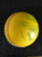 Burley Cricket Ball | ica-stepney