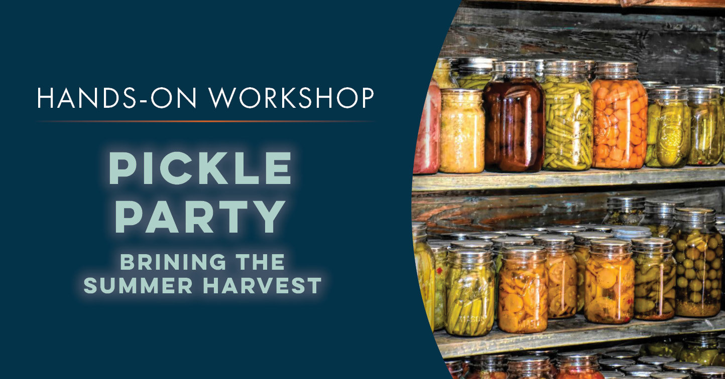 Pickle Party Brining the Summer Harvest | Maine Tasting Center