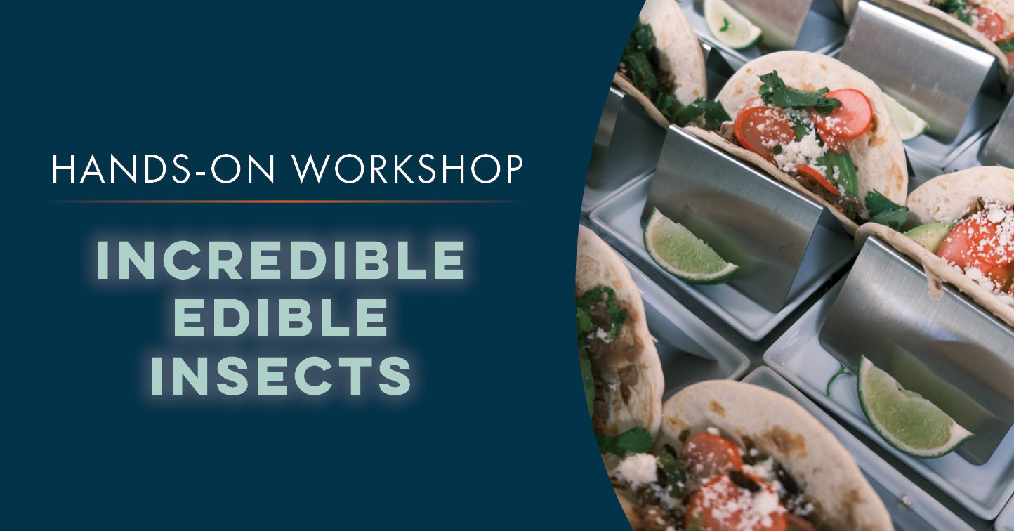 Incredible Edible Insects | Maine Tasting Center