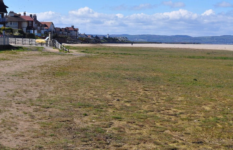 Community Blogs | Hoylake Beach Community