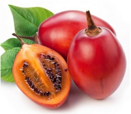 Tamarillo - Red seeds | Brisbane Brugmansia Angel's Trumpets