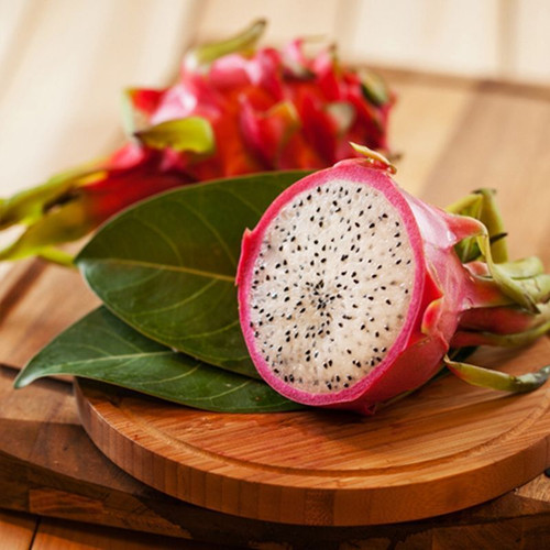 Dragon Fruit - Pearl | Brisbane Brugmansia Angel's Trumpets
