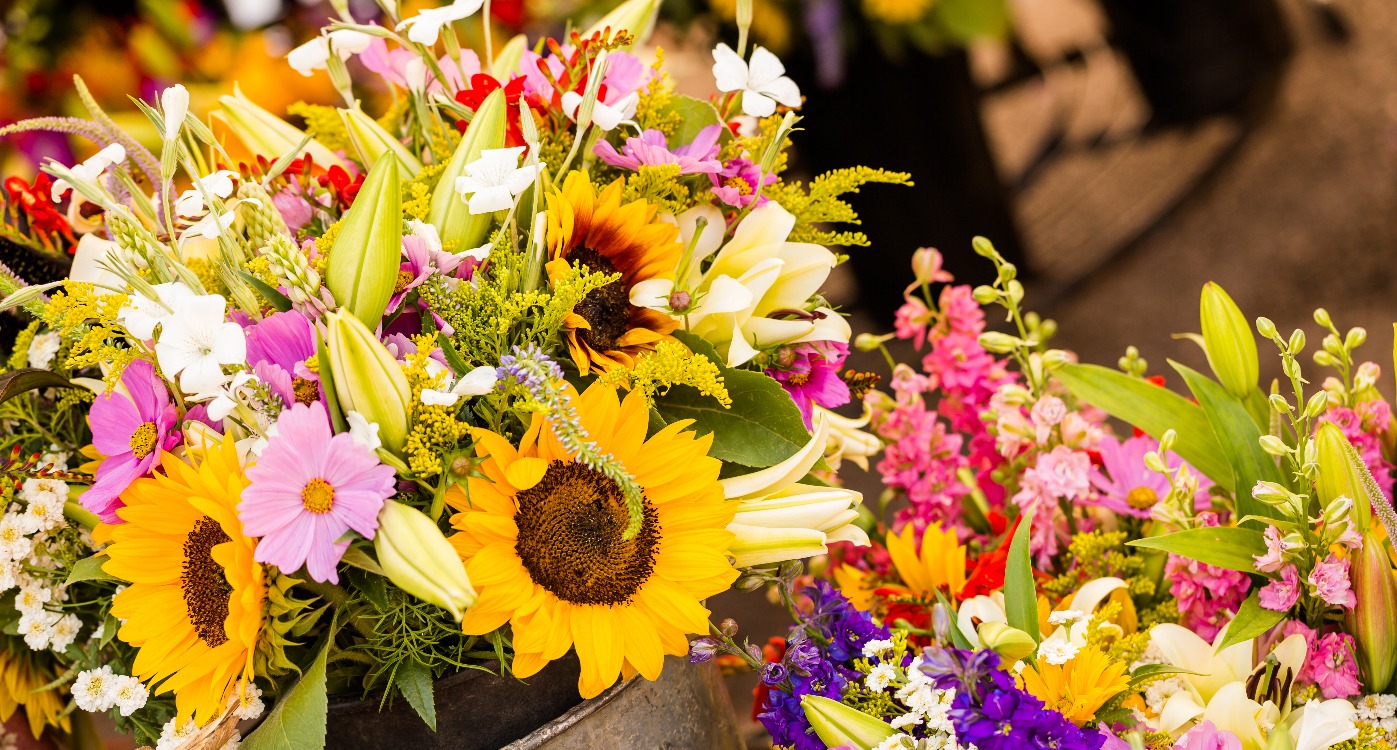 Home | freedomfarmspa