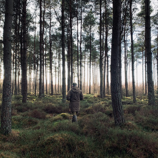 Gallery | Thornton Castle and Estate | Aberdeenshire