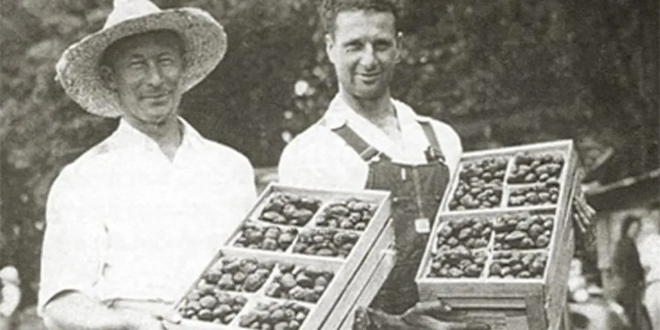 After Multiple Generations Of Family Ownership, The Manthei Group’s ...