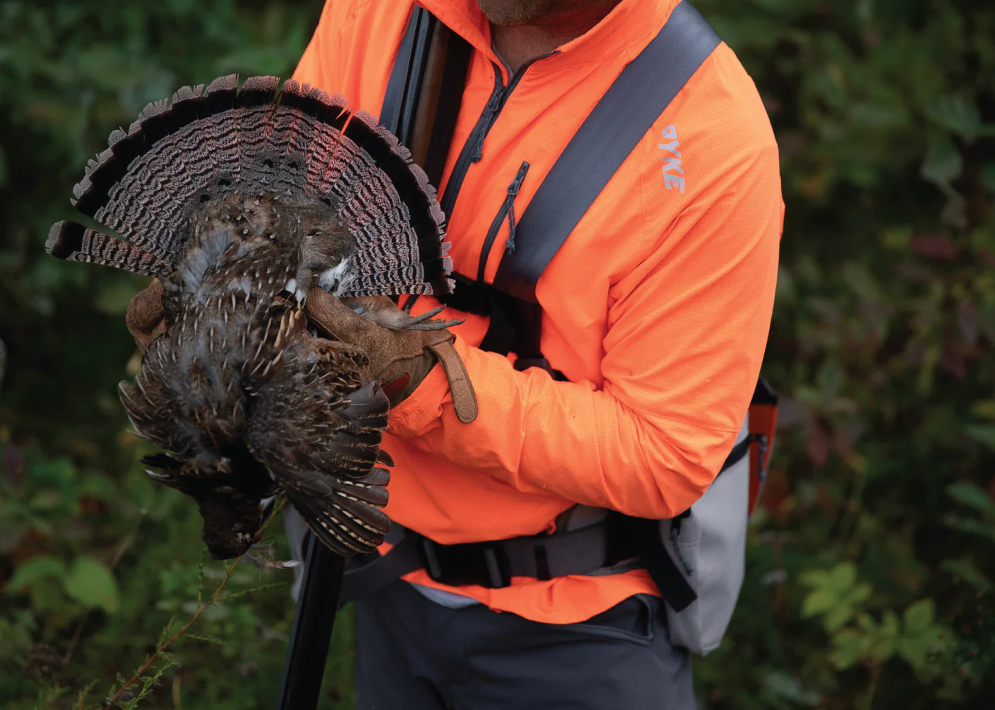 Friends | Aspen Thicket Grouse Dogs
