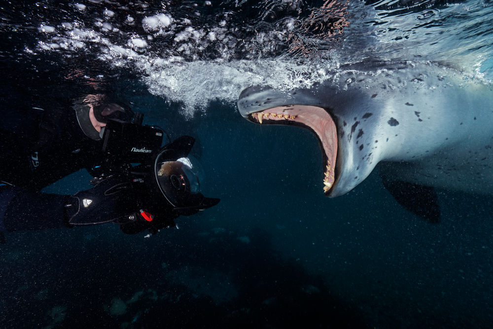 A LIFE'S MISSION | Cristina Mittermeier