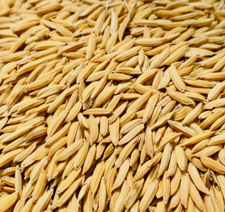 Shop All | Sai Flowers Of Ohio