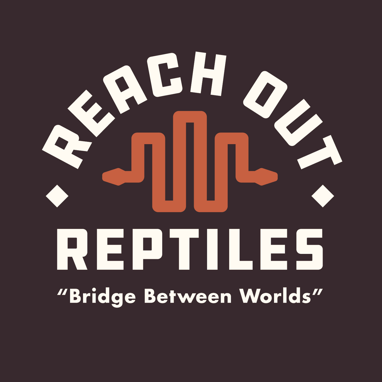 Experiences | Reach Out Reptiles