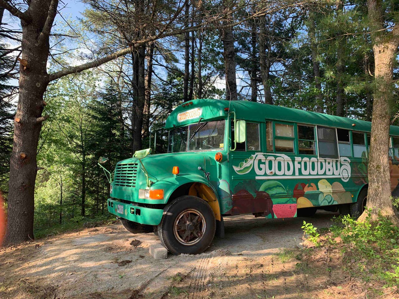 Celebration Tree Farm: Organic Christmas Trees Durham, Maine