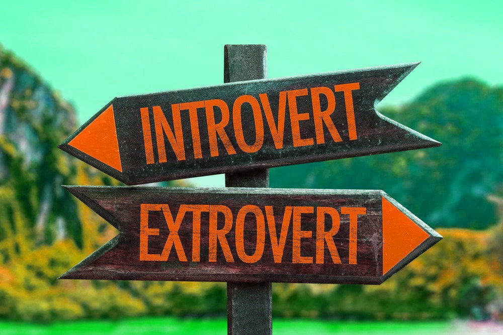 Harnessing Introverts and Extroverts: The Power in Company Meetings