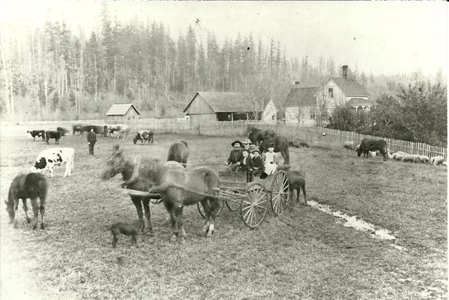 From Many, One: The Immigrant Threads of Issaquah’s History