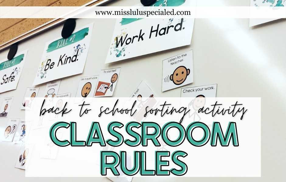 CLASSROOM RULE SORTING ACTIVITY